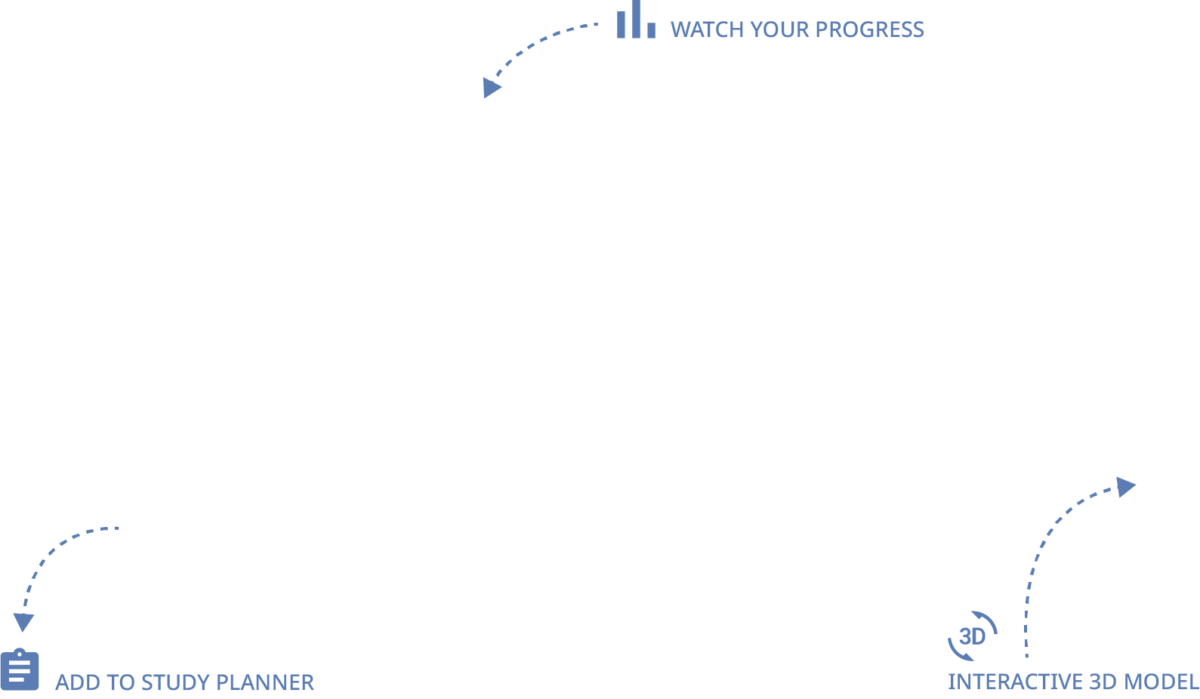 Lecturio | Achieve Mastery of Medical and Nursing Concepts