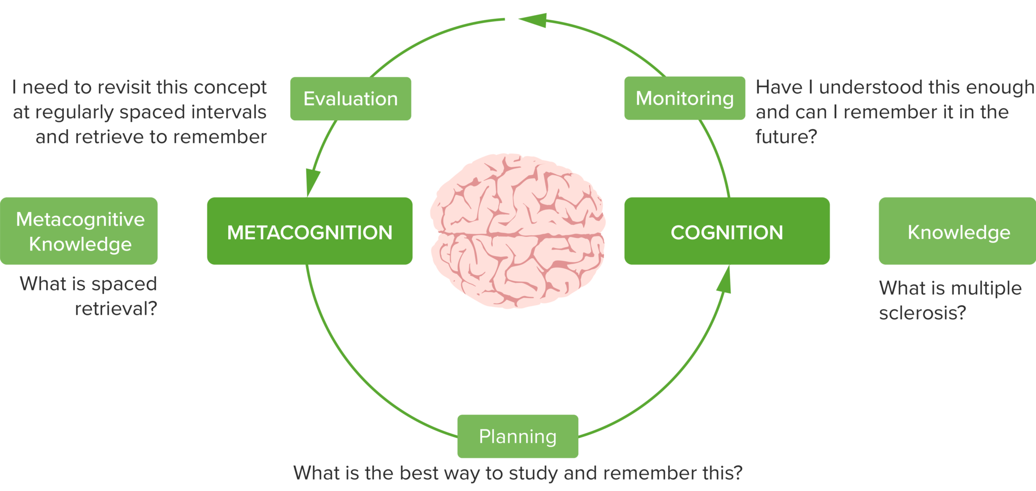 Metacognition in Medical Education | Lecturio Medical