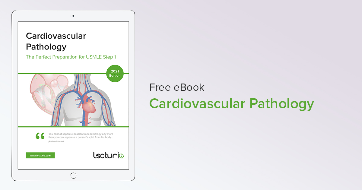 Cardiovascular Pathology (FREE eBook)