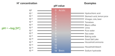 Chemistry for Physicians — Introduction | Concise Medical Knowledge