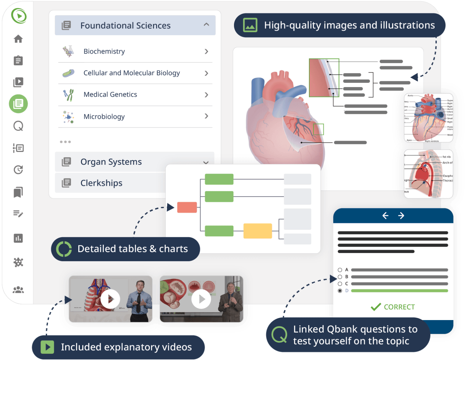 Advanced Pathophysiology for ARPNs | Lecturio