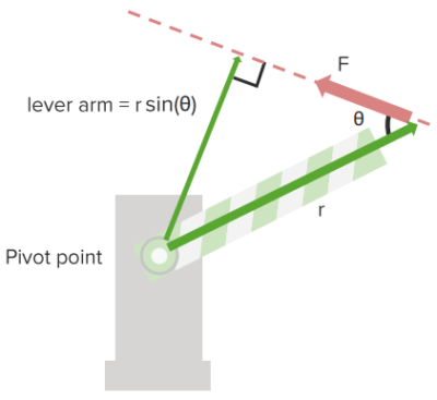 Torque and Equilibrium | Concise Medical Knowledge