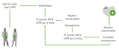 Ventricular Fibrillation (V-fib) | Concise Medical Knowledge