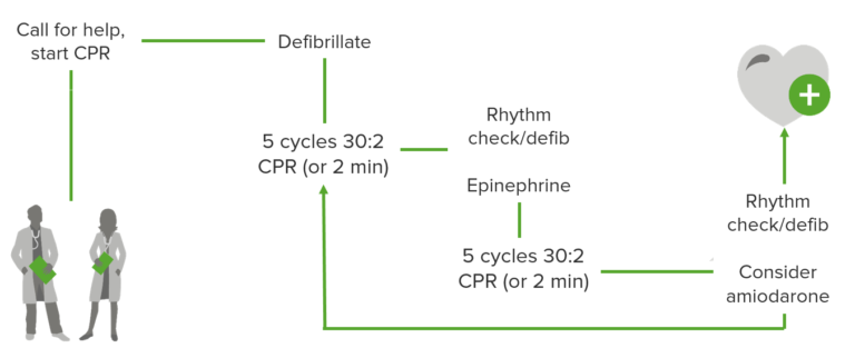 Ventricular Fibrillation (V-fib) | Concise Medical Knowledge